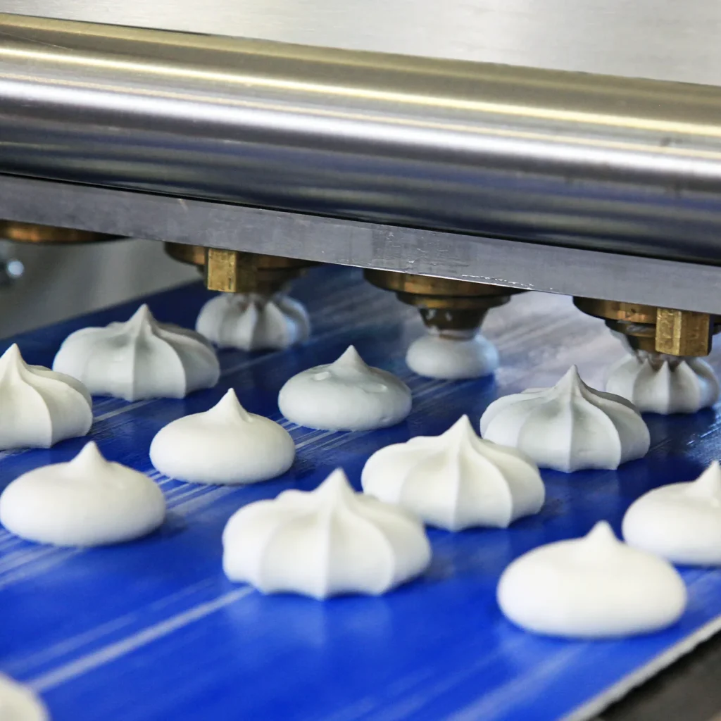 Food Inspection Cameras - KAYA Vision